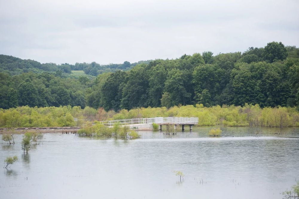 Glade Run Lake Fishing Report (PFBC)
