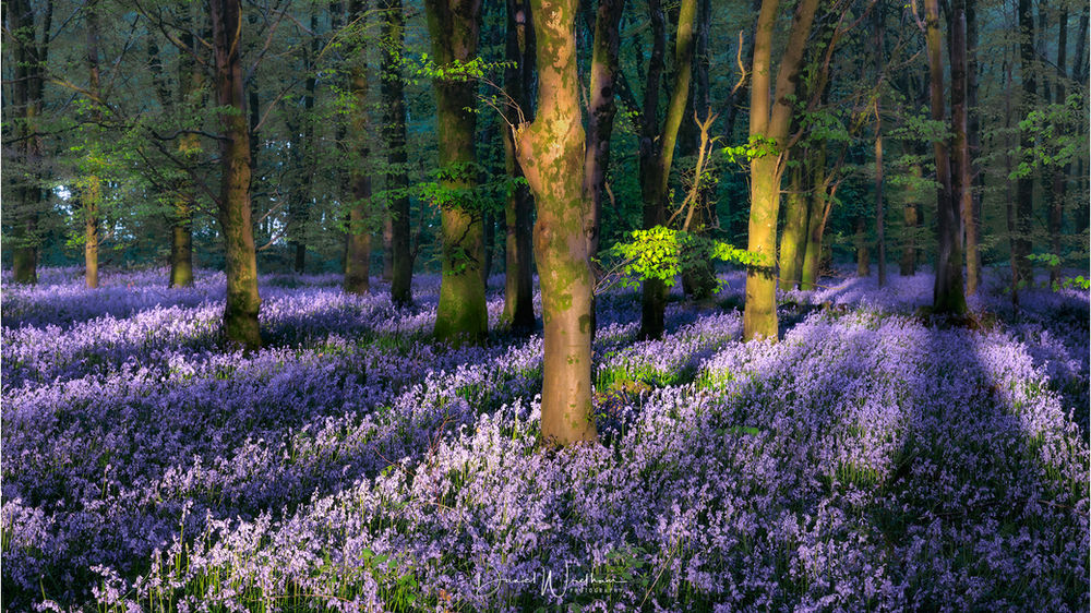 Landscape Photography Blog, April 2020