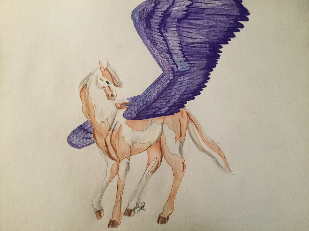 Summerwind | theguardianherd