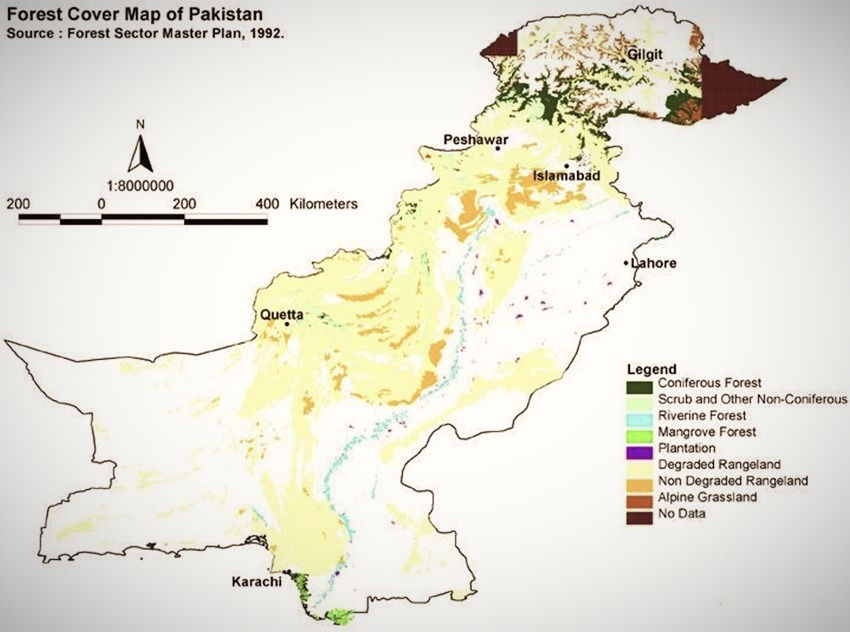 CURRENT STATE OF FORESTS IN PAKISTAN
