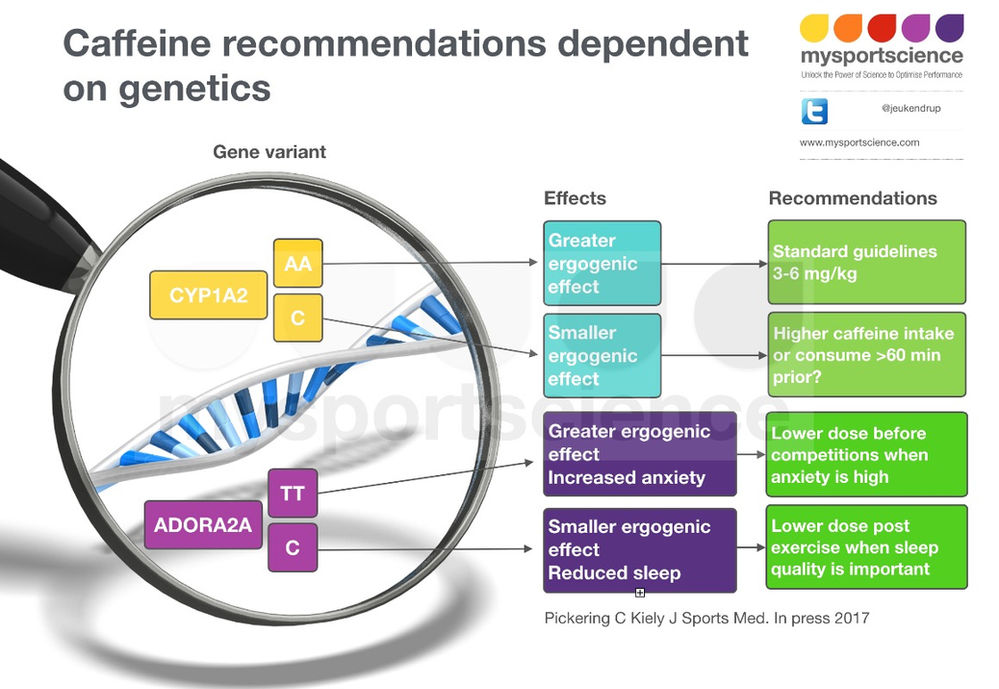 Is caffeine responsiveness in your genes?
