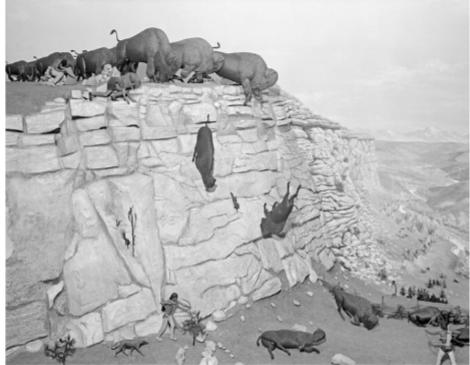 Preserving History through Bison