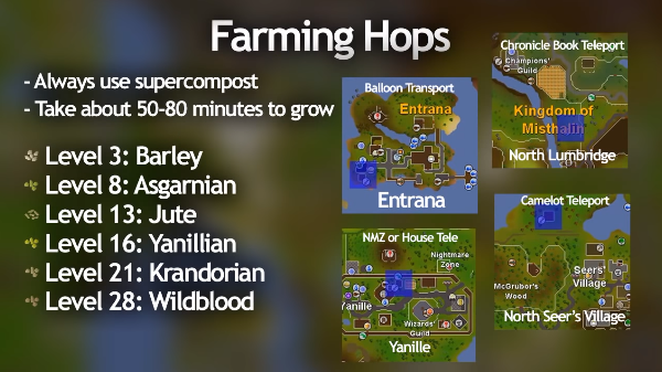 Beginners Farming Guide for OSRS