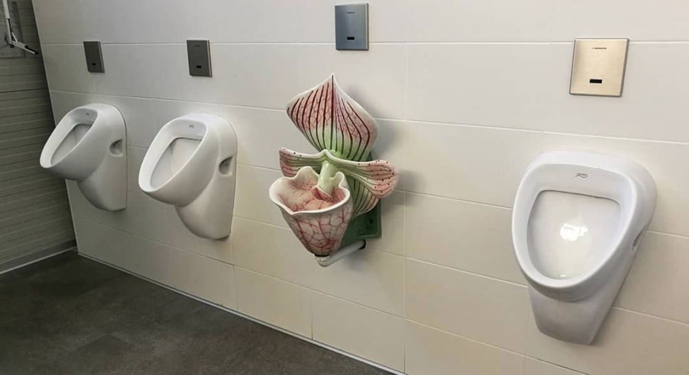 Museum Toilets: Inconvenience or Opportunity?