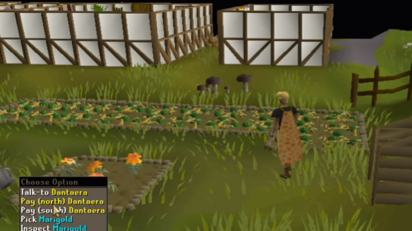 Beginners Farming Guide for OSRS