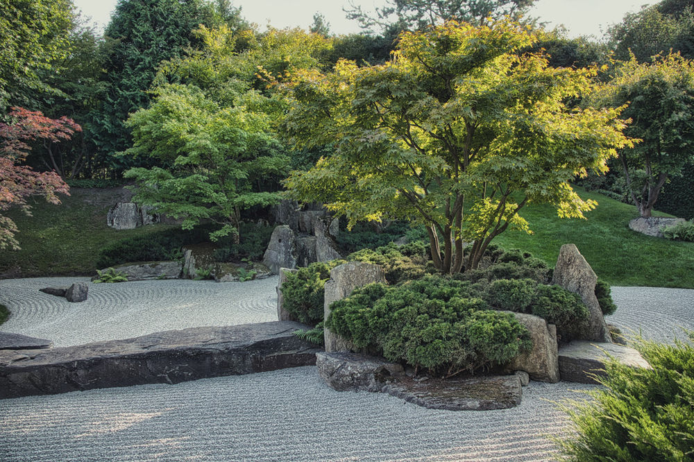 5 KEY ELEMENTS TO START YOUR ZEN GARDEN