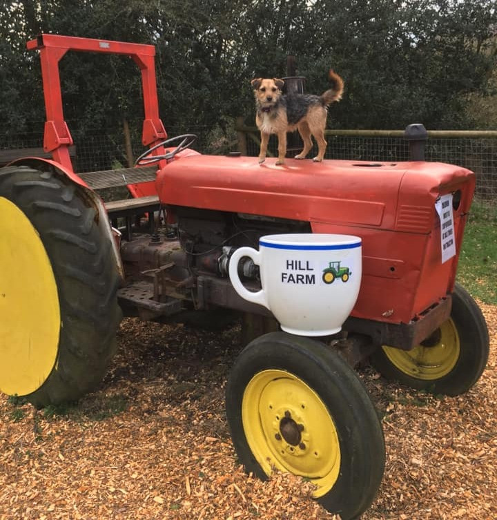 Walk in Cafe | Hill Farm Barn Cafe | Ashridge