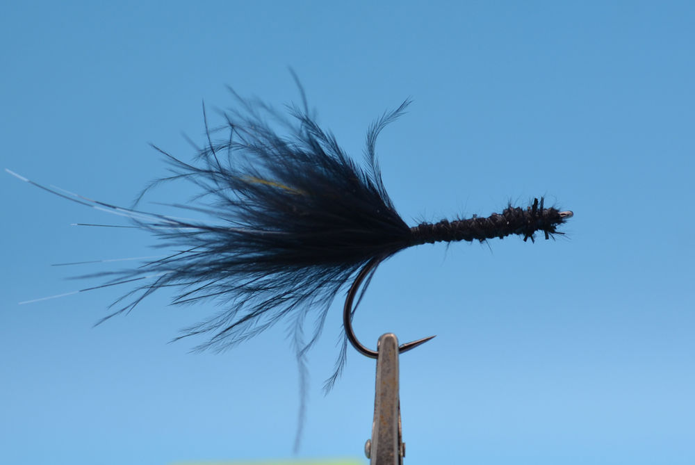 Exploring Fly Tying Materials - Marabou