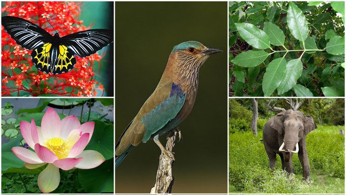 Karnataka #Symbols | SarkariResult