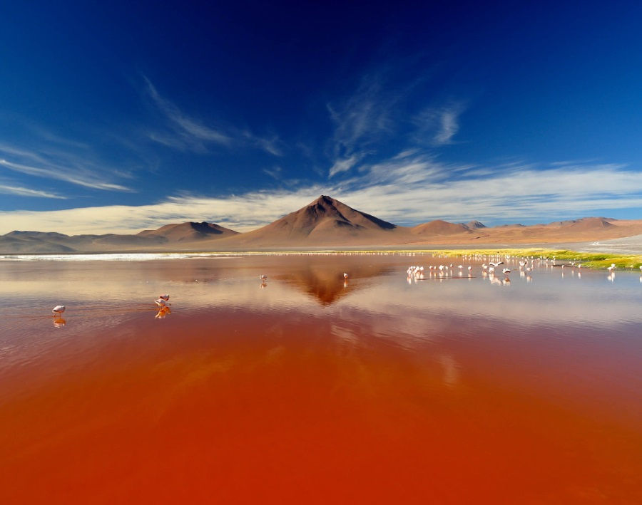 La Laguna Colorada en Bolivie