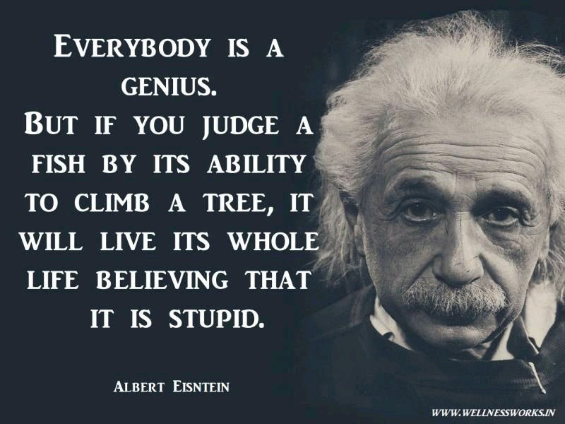 Everyone Is A Genius