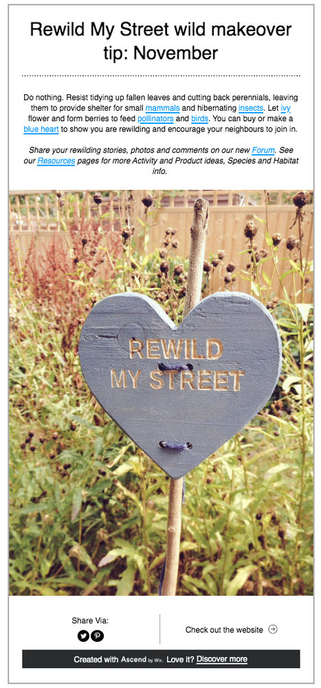 November 2019 wild makeover tip: blue heart | Rewild My Street