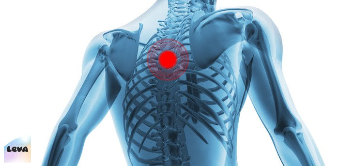 What Is Middle Back Pain? | concon