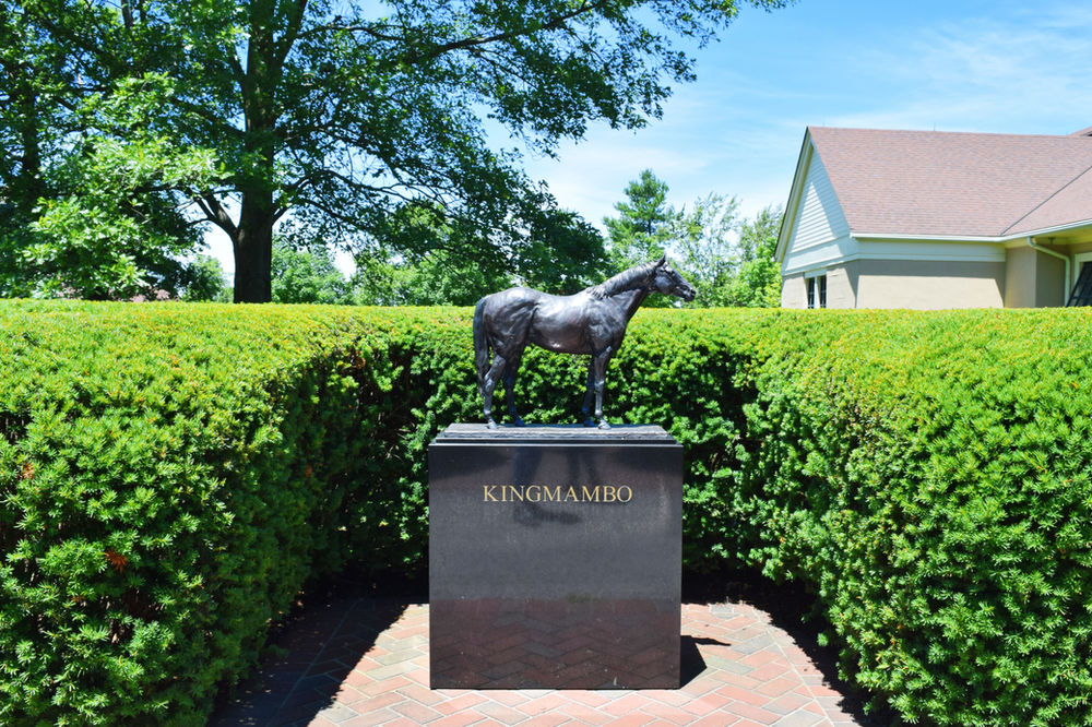 Kingmambo: A Legend That Lives On