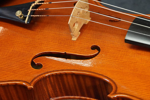 Color Kit | Violin Varnish Italy