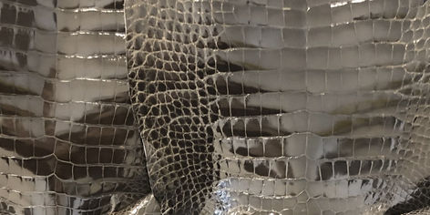 Design Input - Chevre Colors! | Atelier Peter Nitz