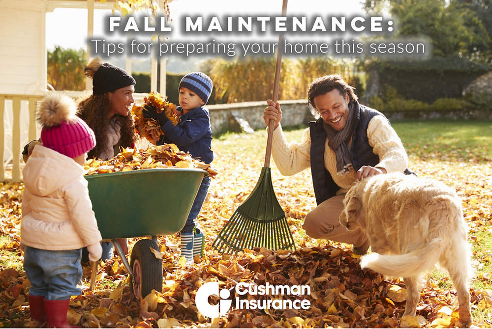 Fall Maintenance: Tips for Preparing Your Home This Season