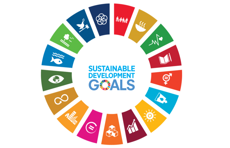 5 Circular Development Goals