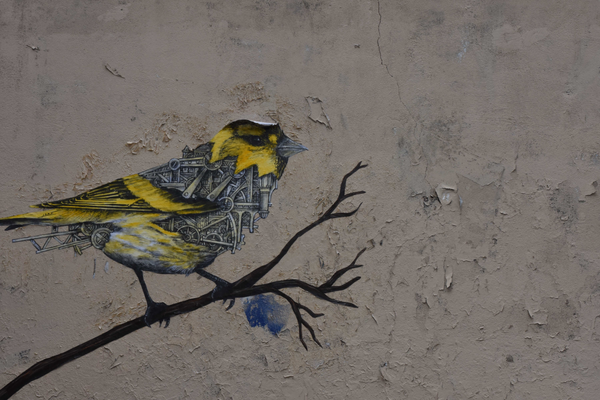 STREET ART & THE CITY | BETTY FOCUS