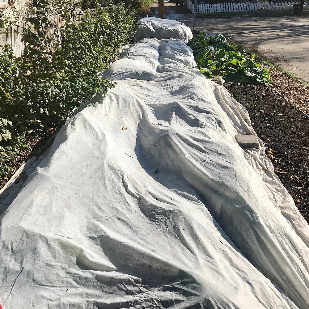 Extending the Season with Frost Protection