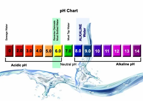 All About Water: What is actually healthy for you to drink, and why?