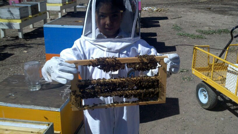 Reglas básicas para el principiante | Aurelio Páez