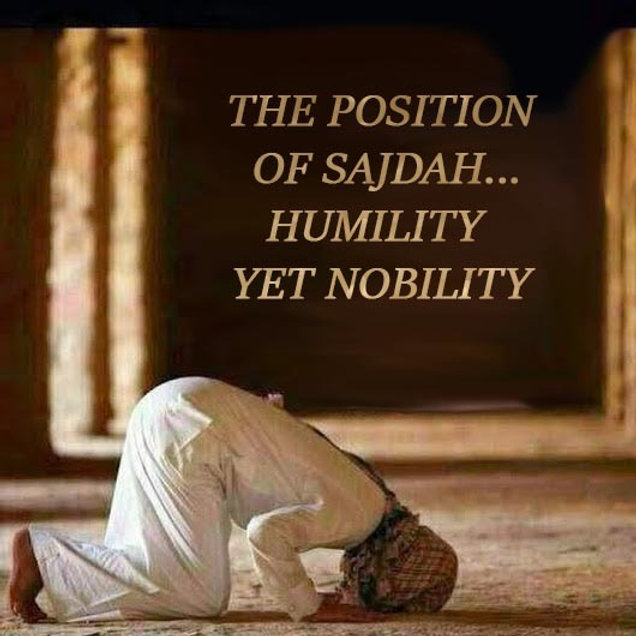 The position of Sajdah... Humility yet Nobility