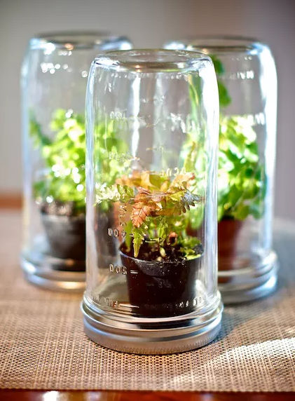 7 Fun Container Garden Projects Kids Will Love | stagesoffreedom