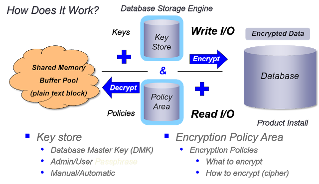 Openedge Database
