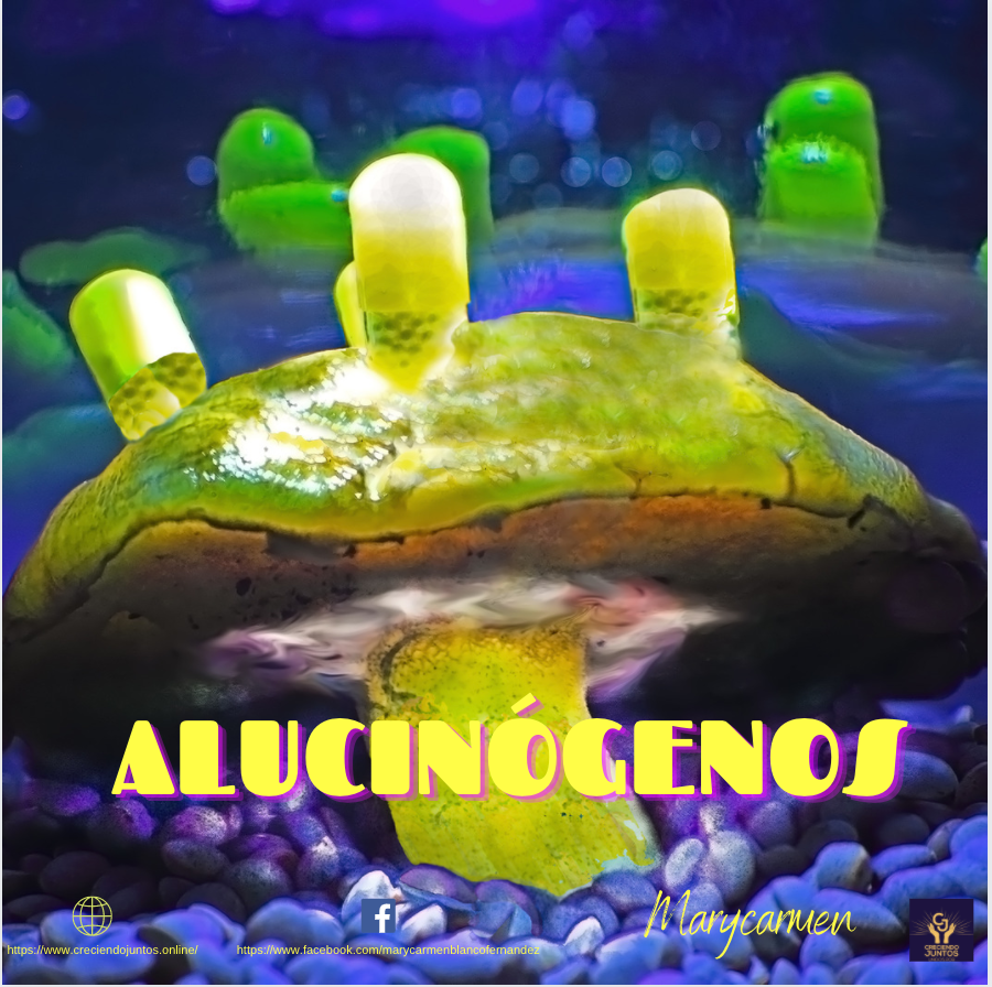 ¿LOS ALUCINÓGENOS SON ADICTIVOS?