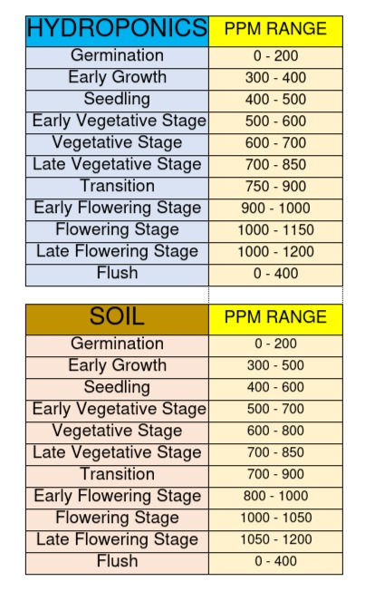 Rookie Cannabis Grow Mistakes: Avoid These 6 Common No No's