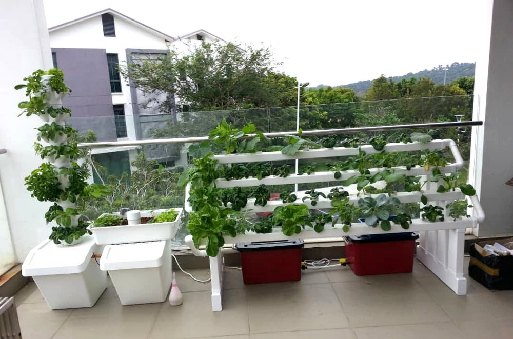 Where to grow your urban farm – Here are 7 ideas.