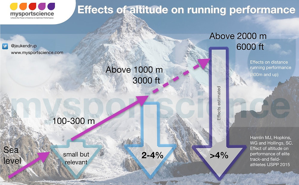 Altitude effects on endurance performance