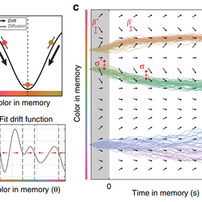 Buschman Lab | Neuroscience | Princeton University