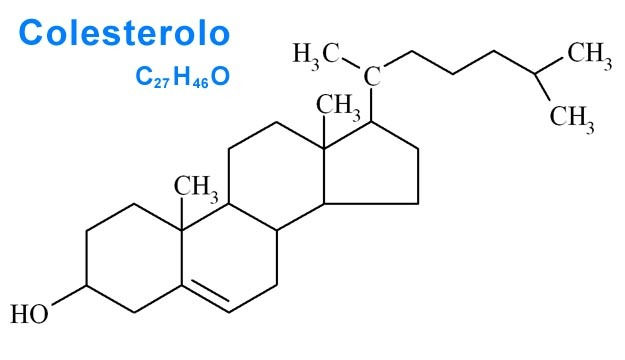 COLESTEROLO & IPERCOLESTEROLEMIA