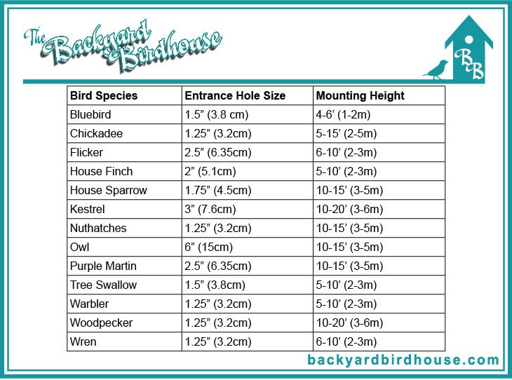 What birds will use this birdhouse?