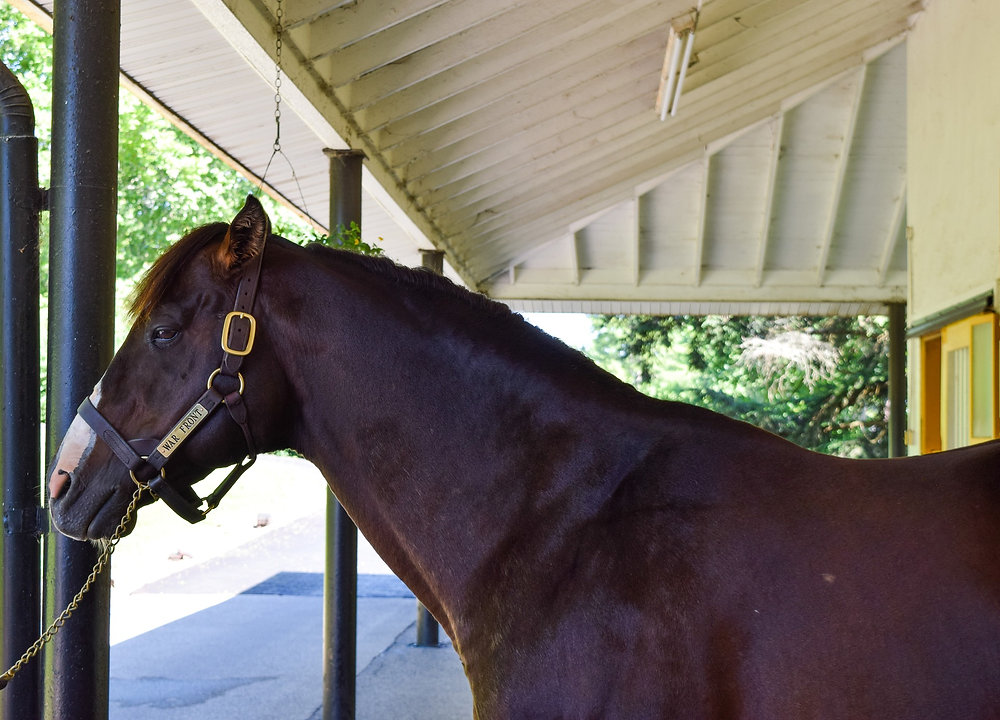 Quick Facts About The Alfred G. Vanderbilt Handicap