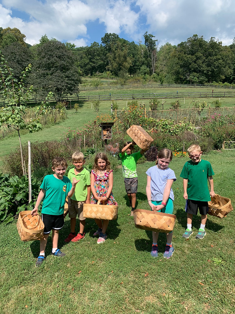 Fall Overnight Field Trip: Lower Elementary