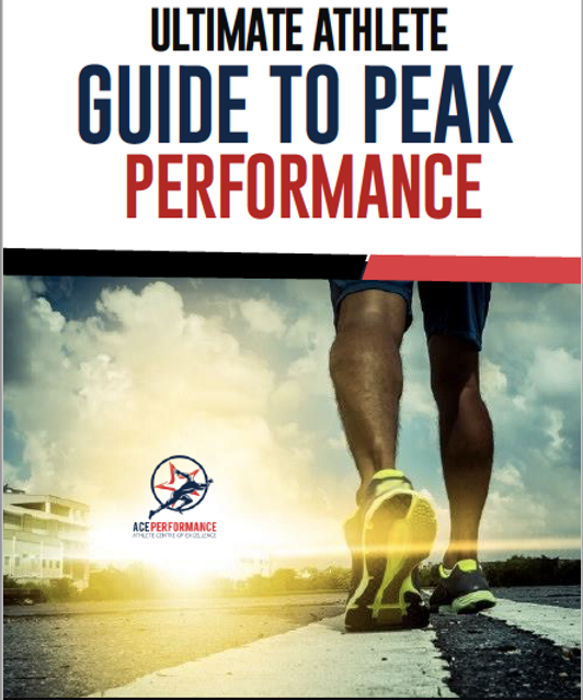 The ACE Performance E-Book