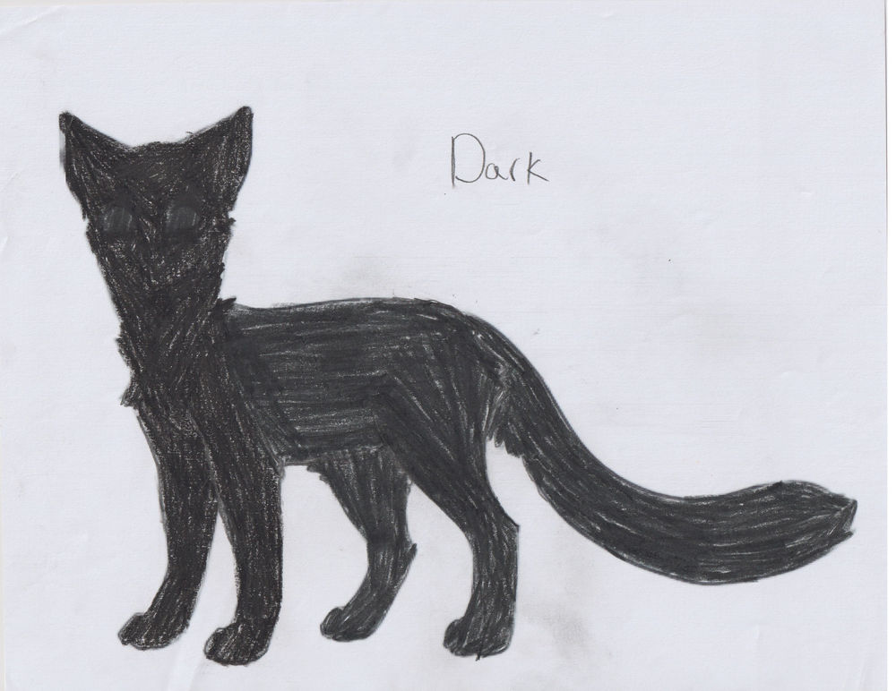 Dark (Rogue) *HAS SPOILERS* | Fallen-Clan