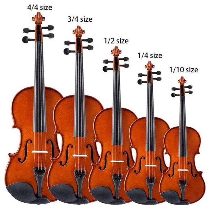 All About the Violin