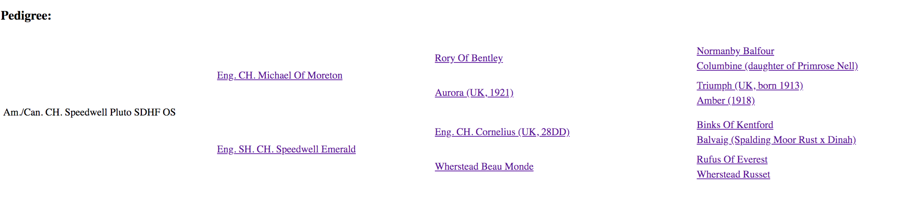 Curly Ancestors of the Golden Retriever