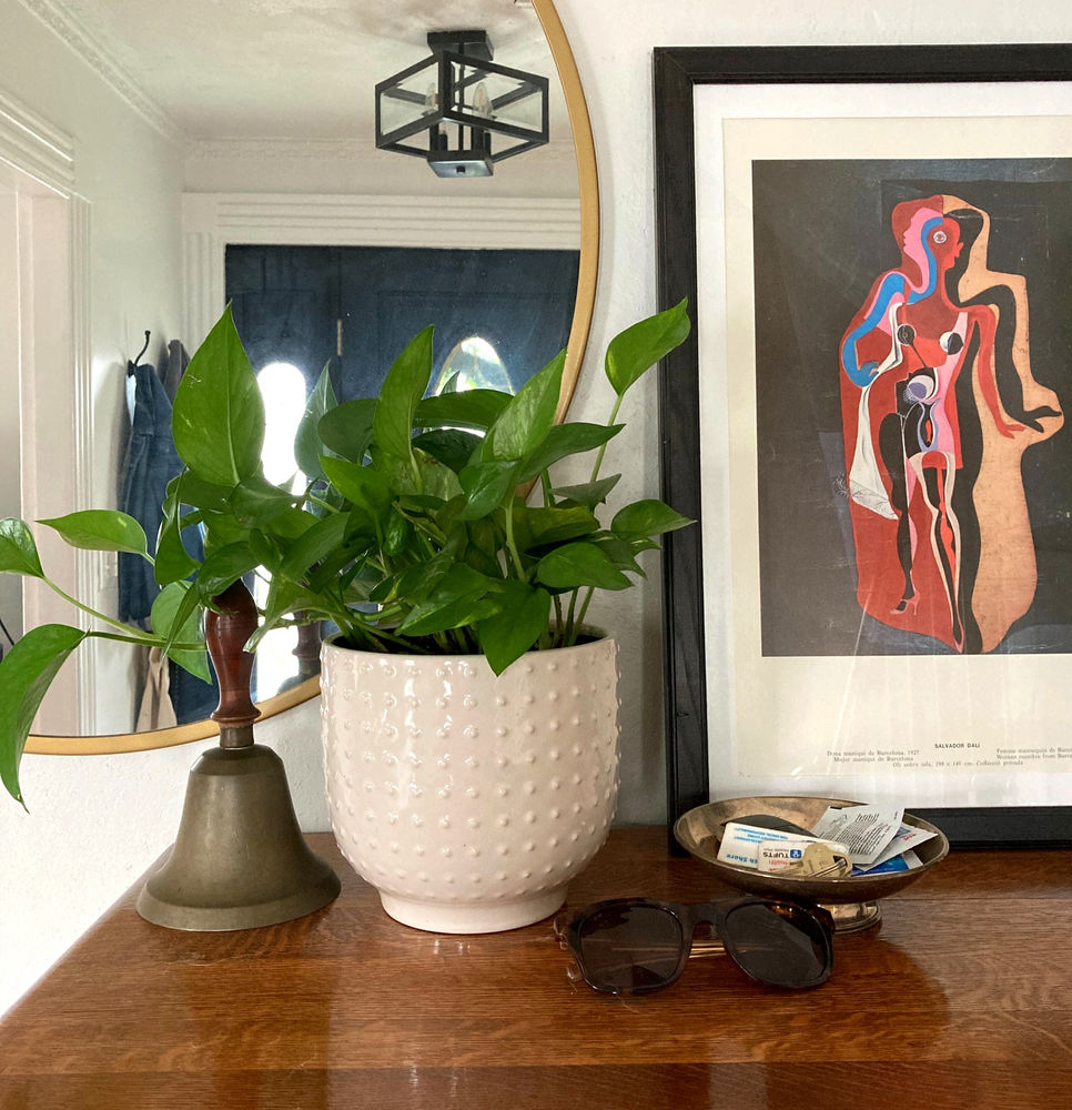 Beginner's Guide to Plant Styling