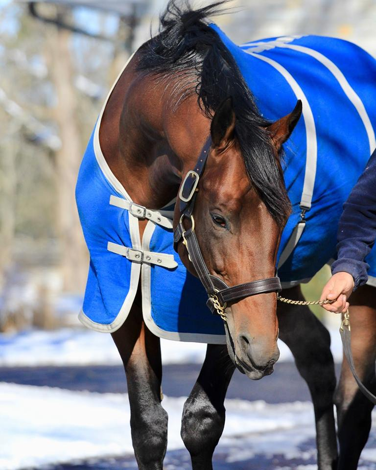 13 Facts about the 13 Triple Crown Winners