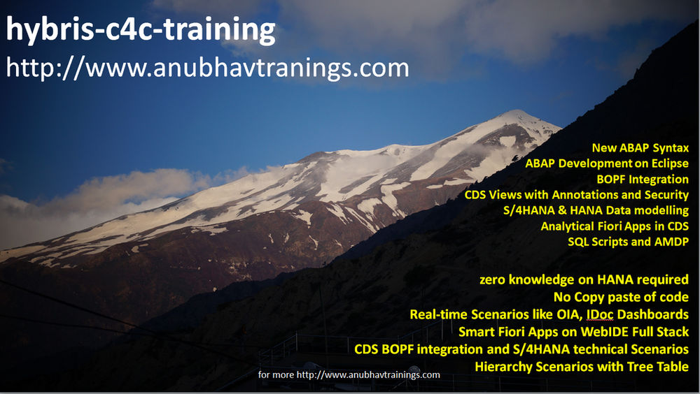 hybris-c4c-training | anubhavtrainings