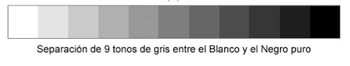 EJERCICIO 1 Escala Tonal
