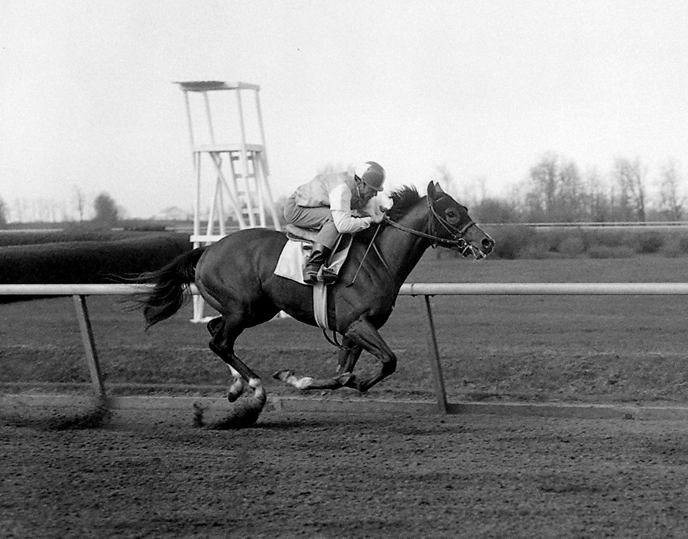 10 Facts About Northern Dancer
