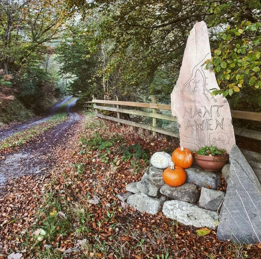 Nos Calan Gaeaf - Pumpkins and Pigs