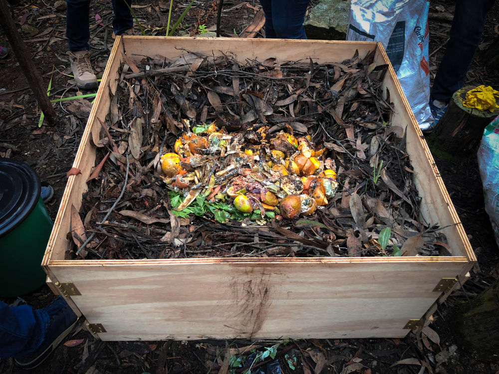 PACA DIGESTORA: Una alternativa revolucionaria para el aprovechamiento ...