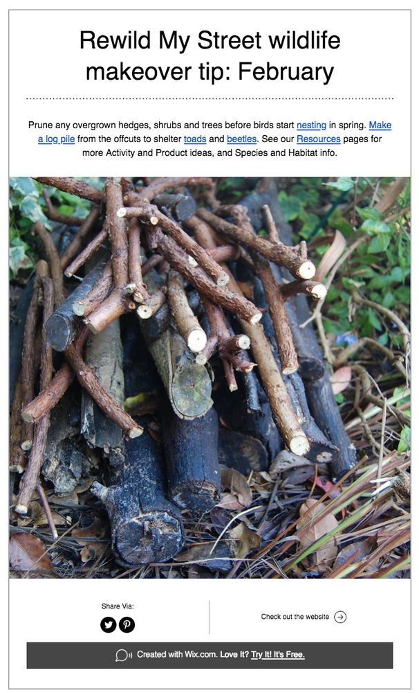 February 2019 wild makeover tip: log pile | Rewild My Street